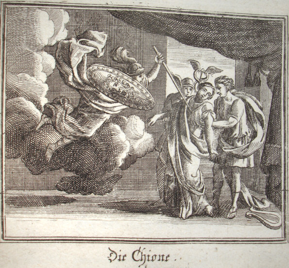 Chione - JungleKey.fr Image