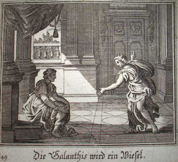 Galanthis - JungleKey.fr Wiki